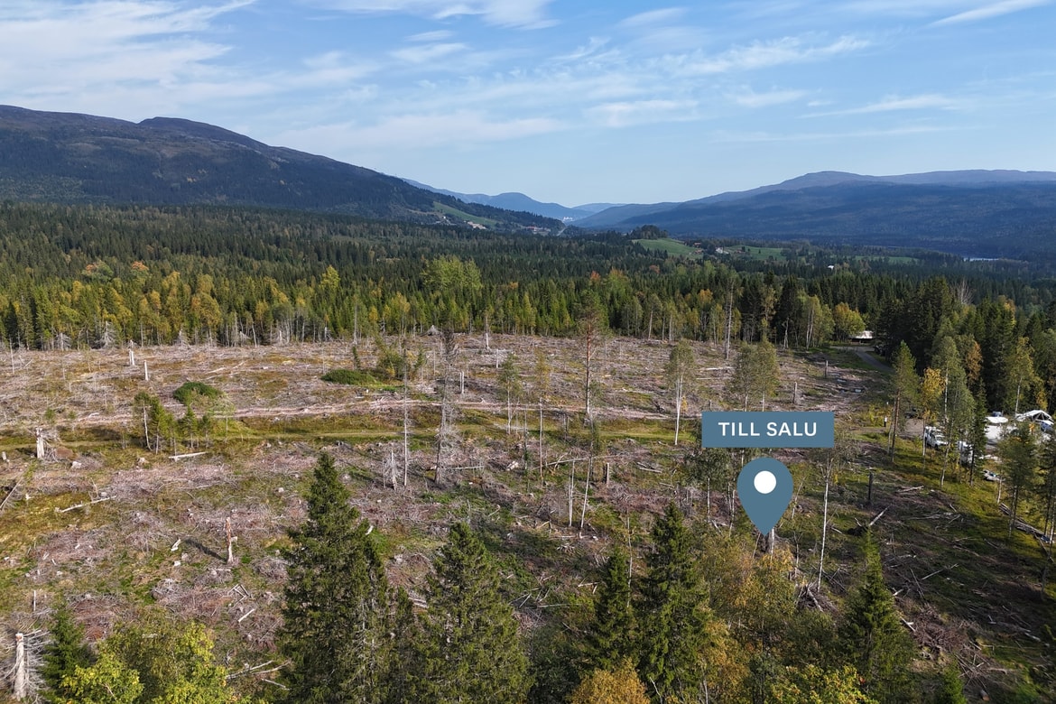 Område 1 av fastigheten Åre Duved 2:16, Duved, Åre — Bjurfors